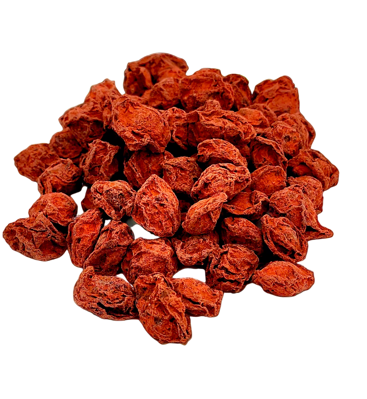 Top End Salty Plum Shop | Red Salty Plums, Darwin Plum